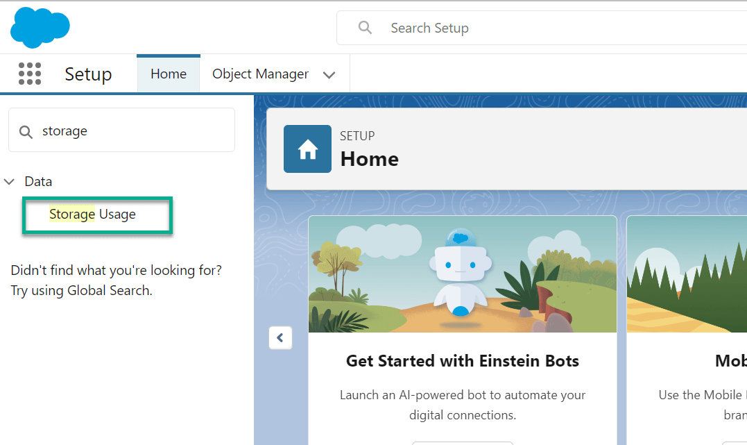 Salesforce Storage Usage Setup Menu